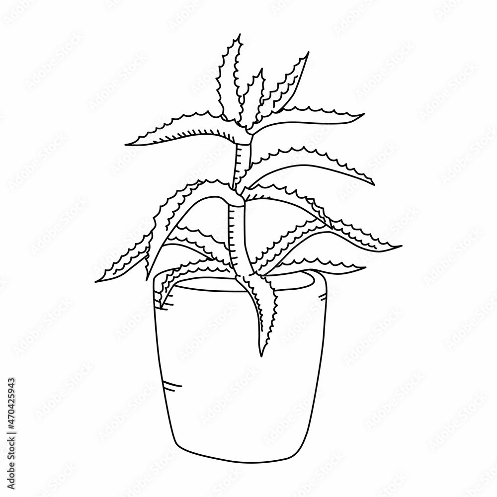 Aloe arborescens in doodle style. Cute cartoon krantz aloe for coloring ...