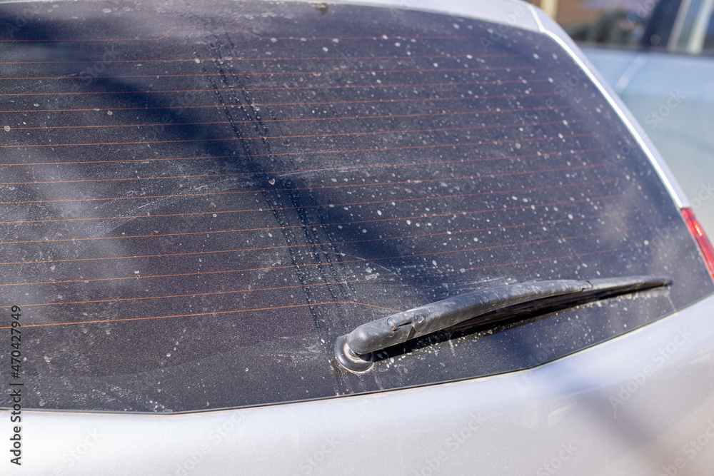 Dirty dusty rear window of the car. The auto requires cleaning and ...