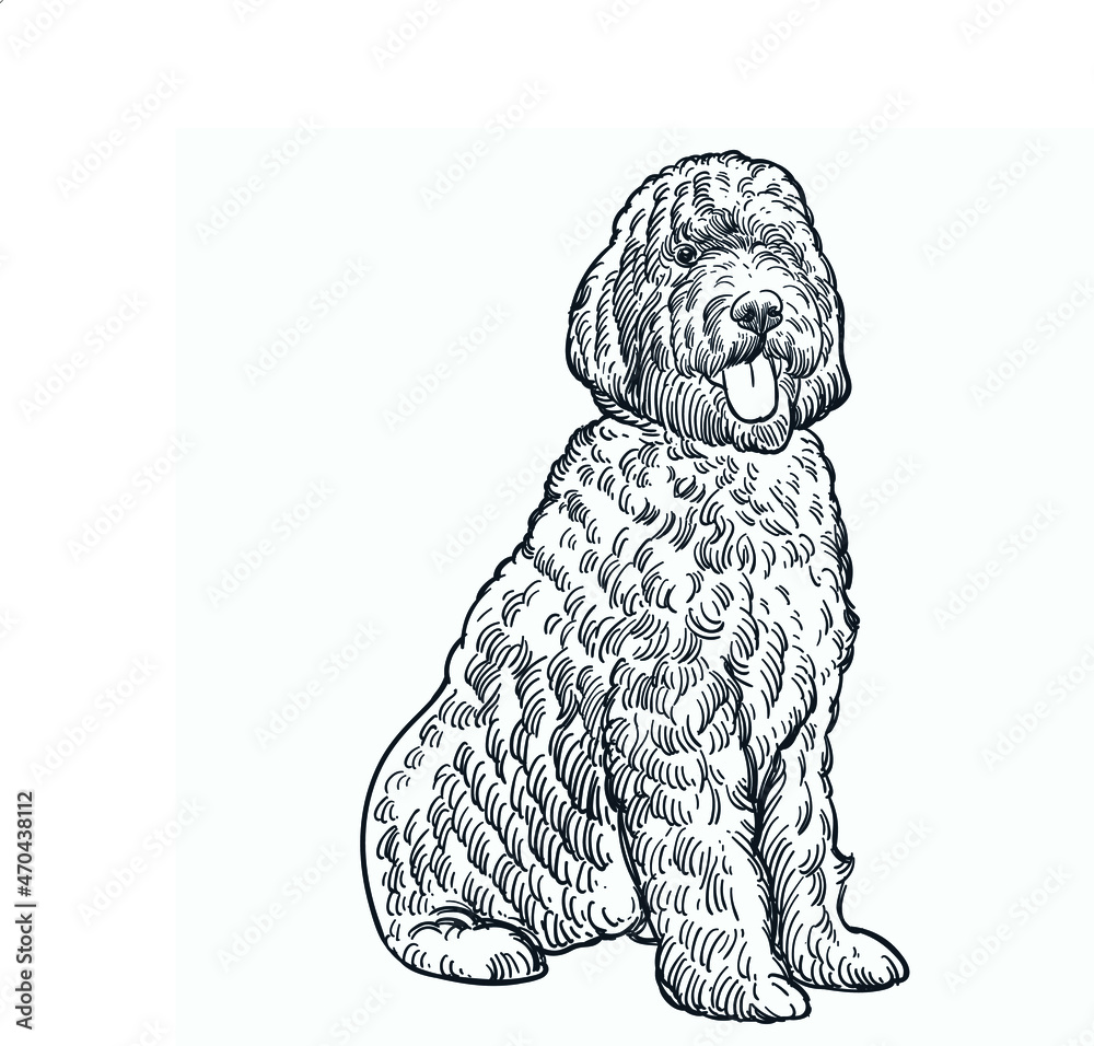 Vintage hand drawn sketch labradoodle dog Stock Vector | Adobe Stock