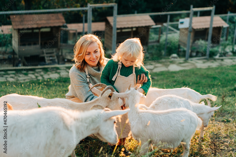 Mom and daughter feed goats on the farm. Rural life, agriculture. Stock ...