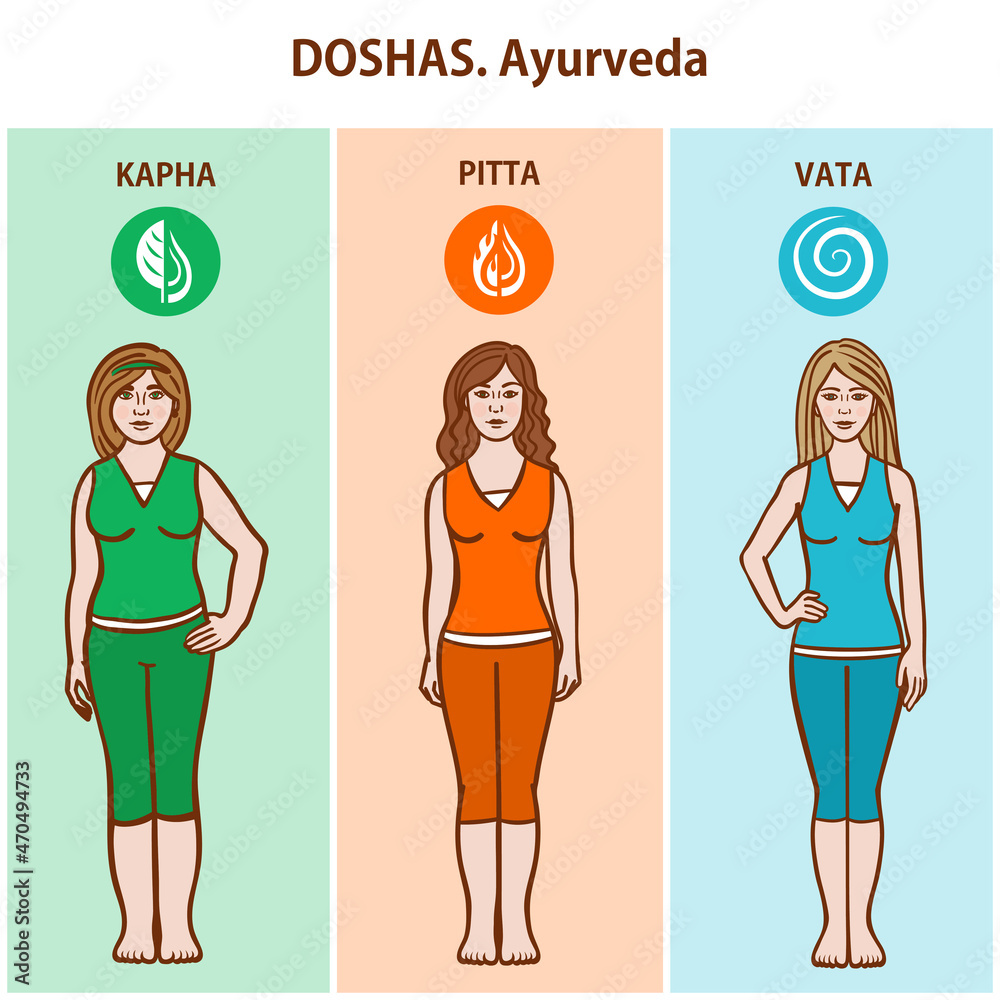 The doshas. 3 types of physical constitution: Kapha, Pitta, Vata ...