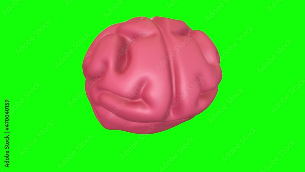 Human brain Anatomical Model. Motion Animation. Video available in 4K ...