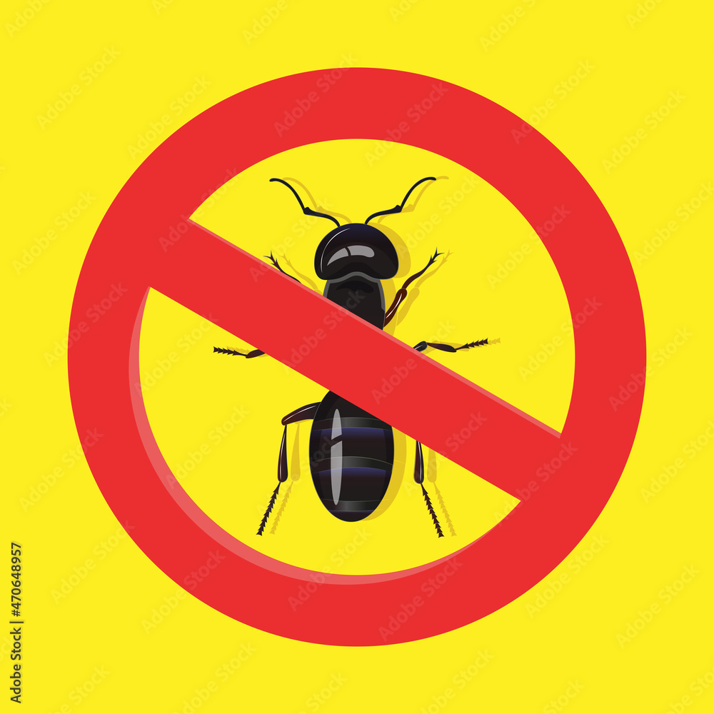 Warning sign no insect with black ant on yellow background. No ants ...