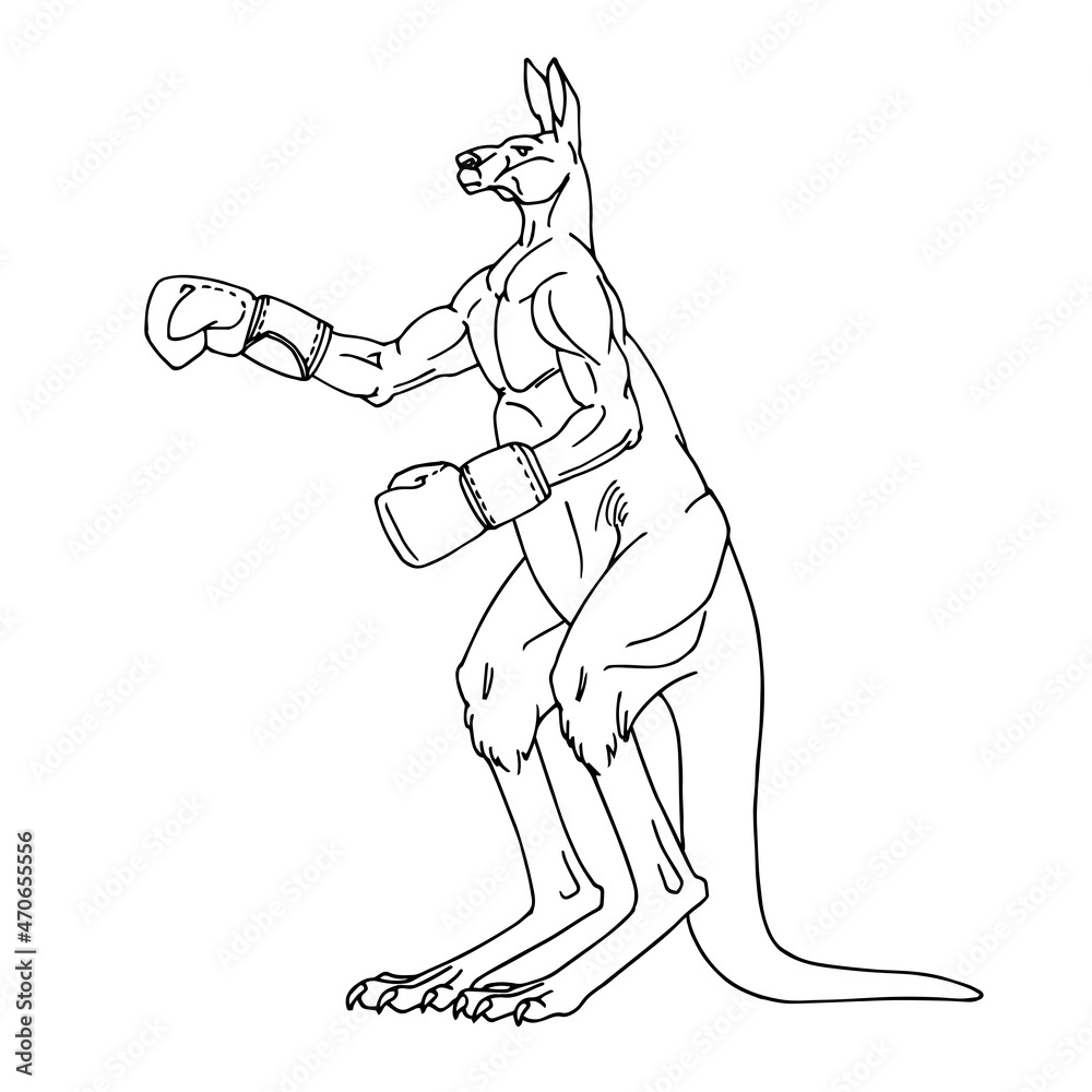 A sporty male kangaroo in boxing gloves. The Australian symbol. Vector ...