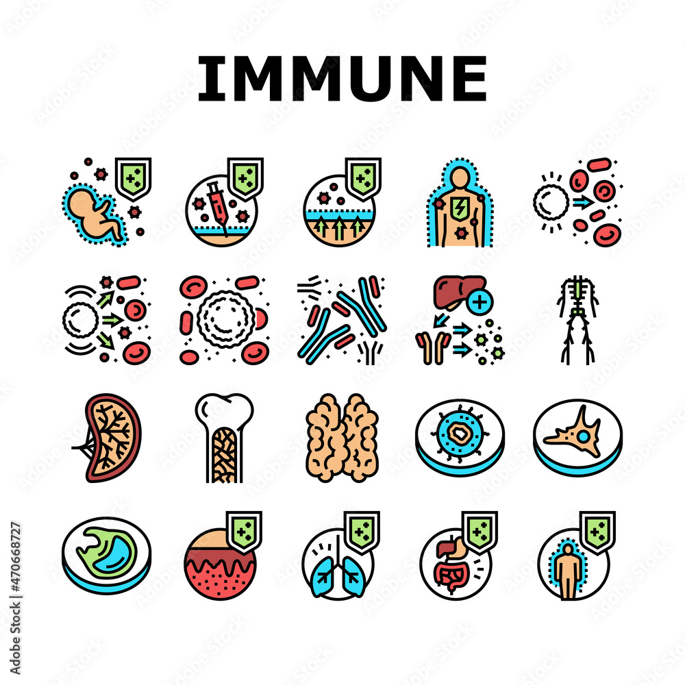 Immune System Disease And Treat Icons Set Vector. Thymus Of Immune And ...