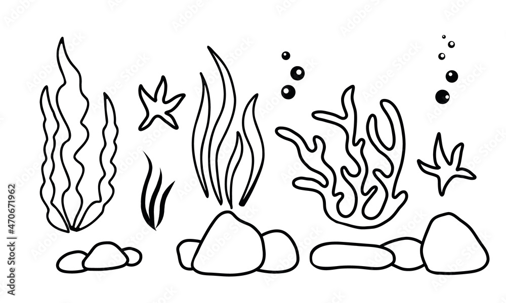 Vector set with outline Seaweeds and stone. Hand drawn sketch with ...