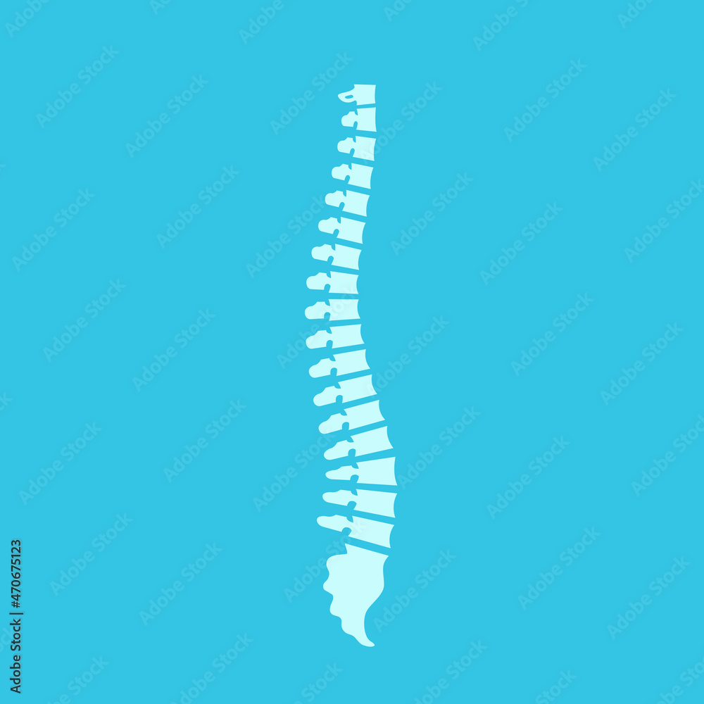 Human spine isolated. Human spine silhouette. Back ache Stock Vector ...
