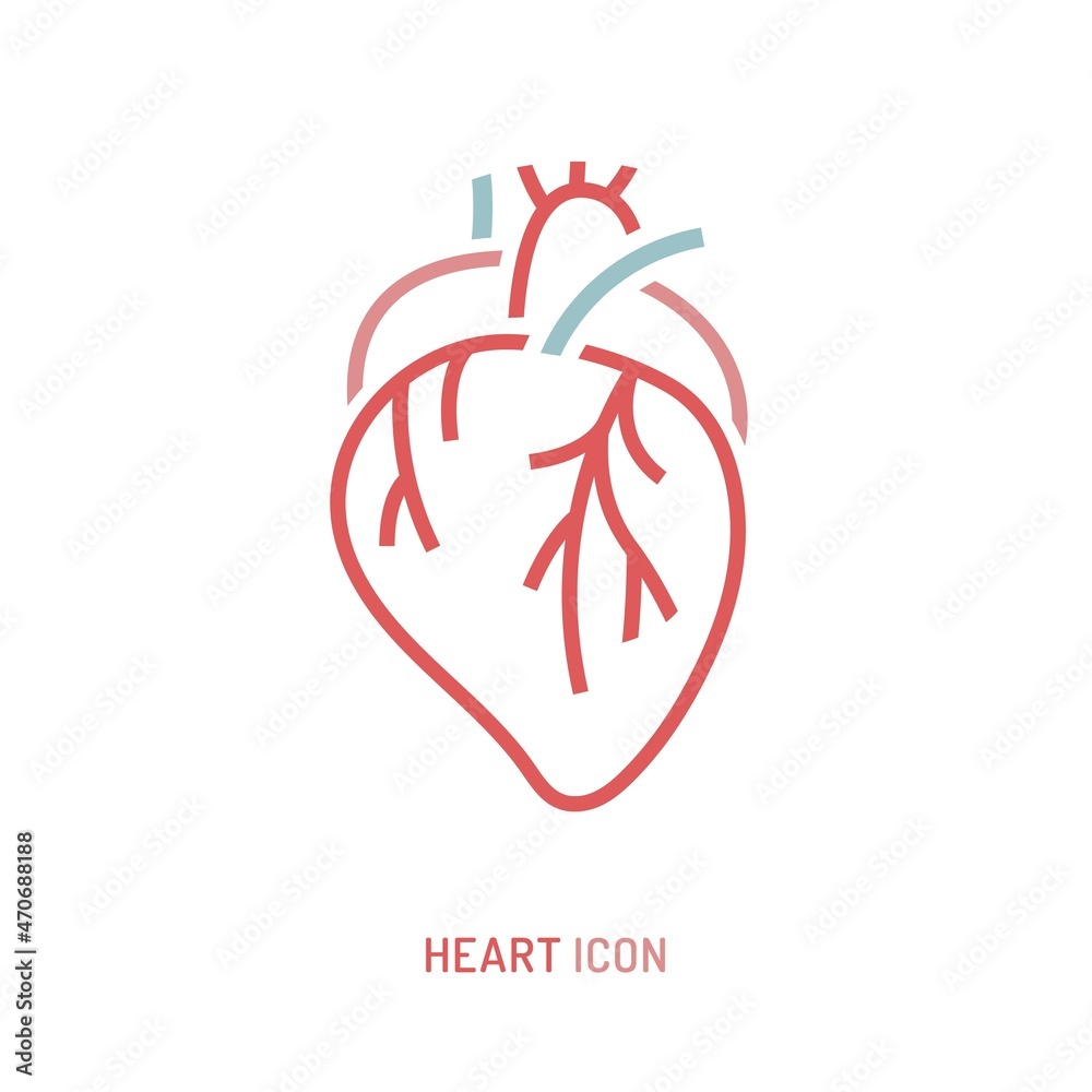 Healthy heart icon, internal human organ of cardiovascular blood ...