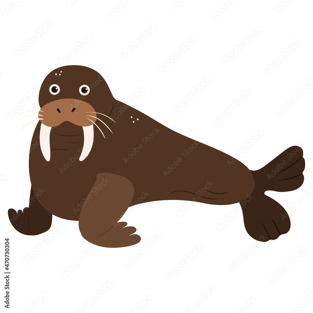 Beautiful cartoon illustration with colorful sea animals walrus on ...