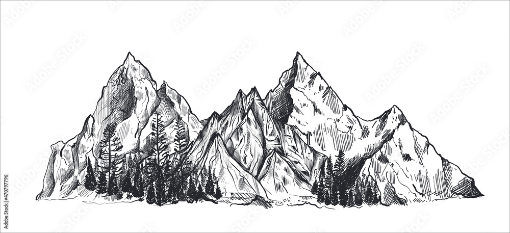 Vector hand drawn graphic mountain ranges and pine forest. Nature ...