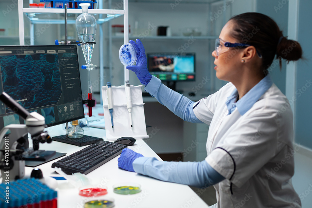 Biologist researcher woman looking at fungi colony using medical petri ...