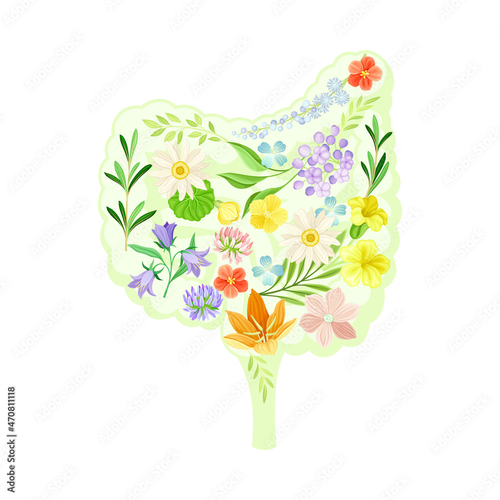 Large and small intestine, gut with flowers and leaves. Healthy ...