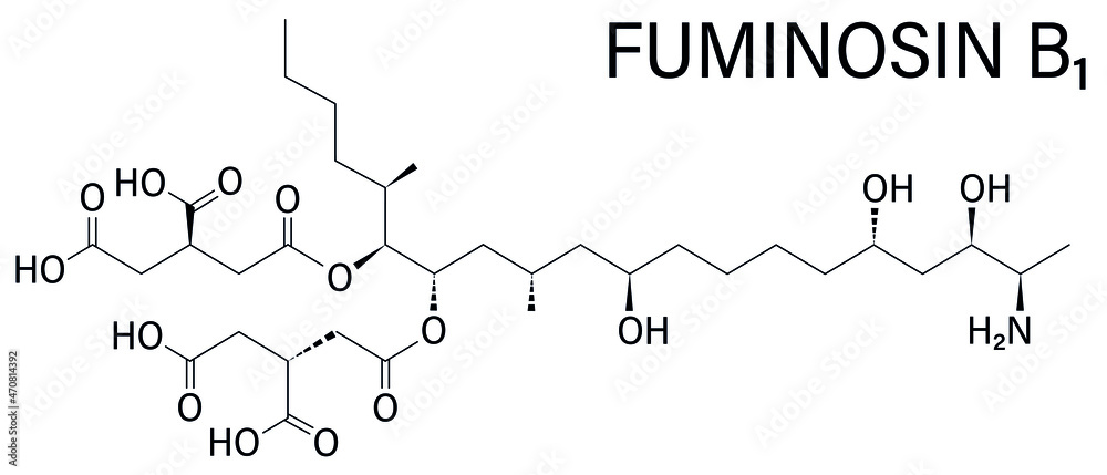 Fumonisin B1 mycotoxin molecule. Fungal toxin produced by some Fusarium ...