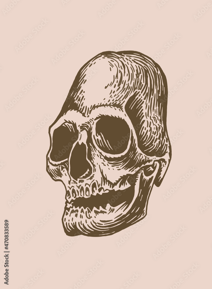 Graphical vintage drawing of Mayan skull , long skull of ancient tribe ...