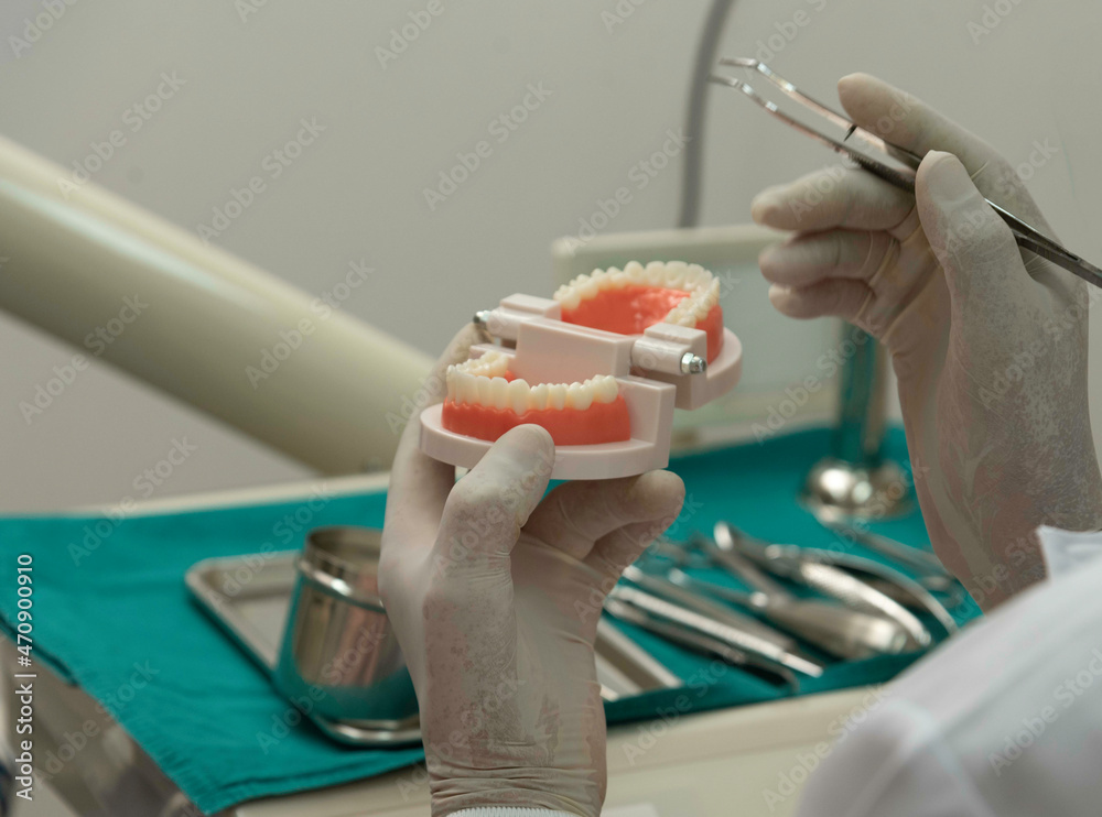 dentist holding dentures in her hands. Dental prosthesis in the hands ...