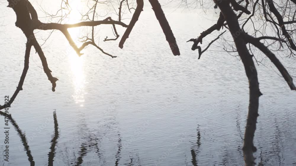 Vidéo Stock Abstract 4k stock natural unusual creepy video background ...