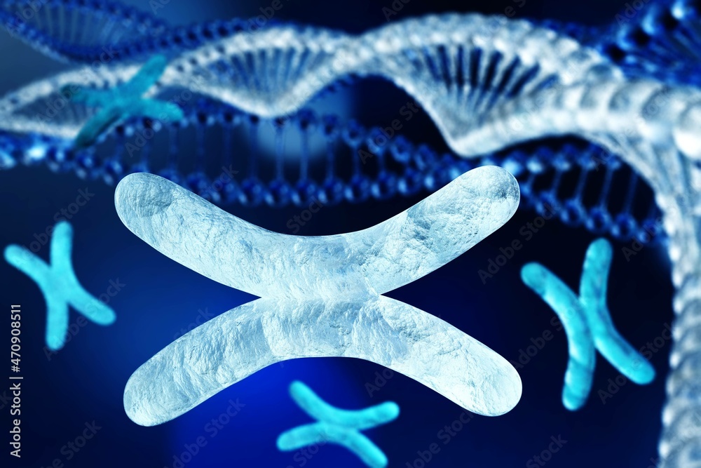 X chromosome against the background of DNA. Chromosomes and DNA. 3D ...