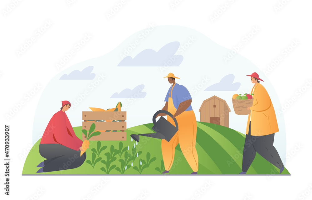 Gardener and farmers are working in the garden. Woman harvest tree ...
