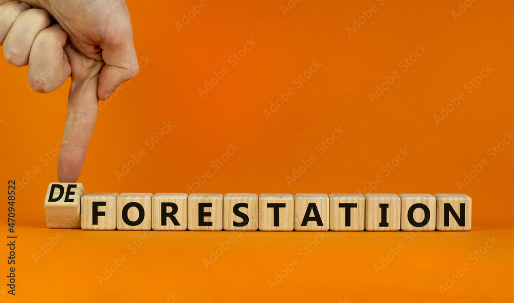 Forestation or deforestaion symbol. Ecologist turns wooden cubes and ...