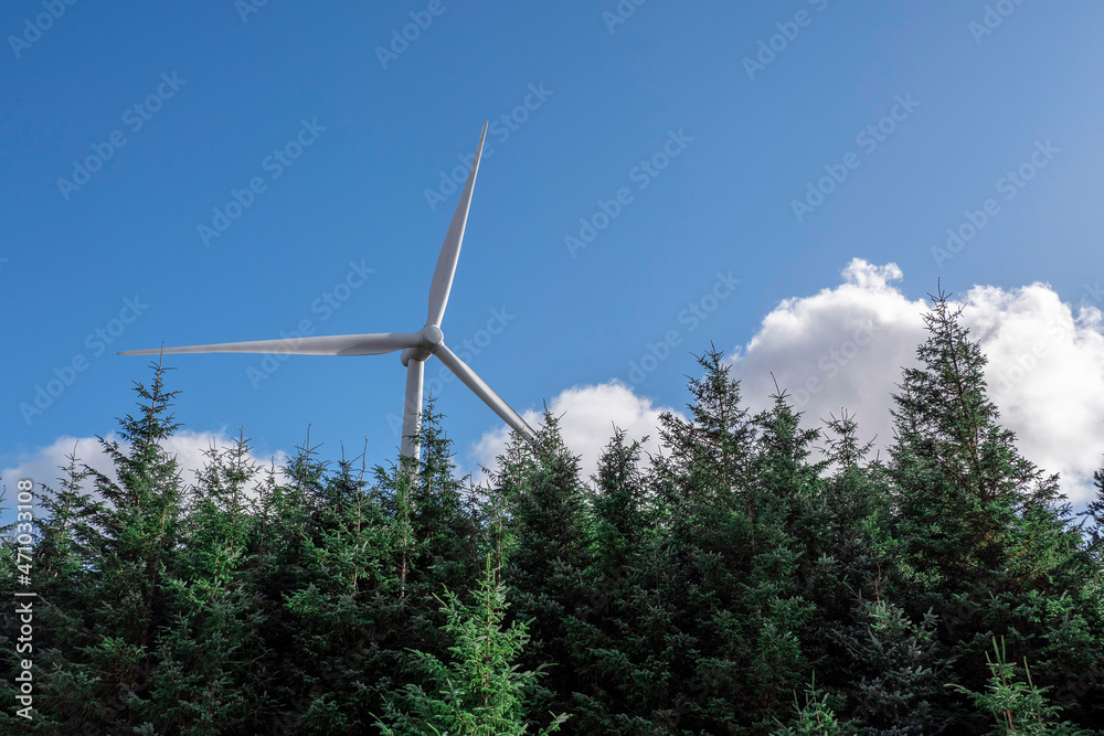 Green forest with wind energy turbines. Blue cloudy sky. Incorporating ...