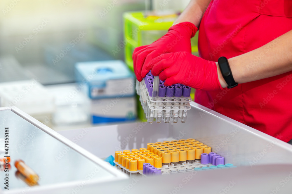 Test tube in scientist hand in laboratory. Doctor in uniform working ...