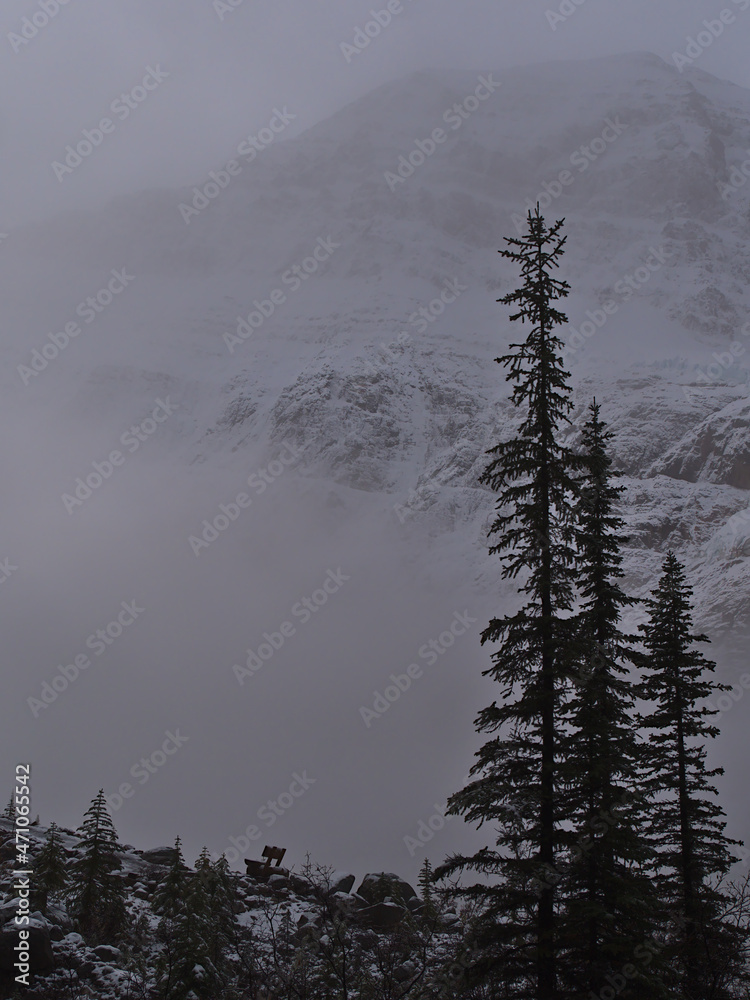 Stunning view of the rugged rock face of Mount Edith Cavell in Jasper ...