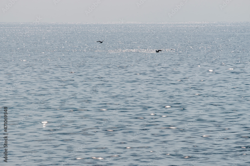 Water background with the view of the ocean shining in the sun and a ...