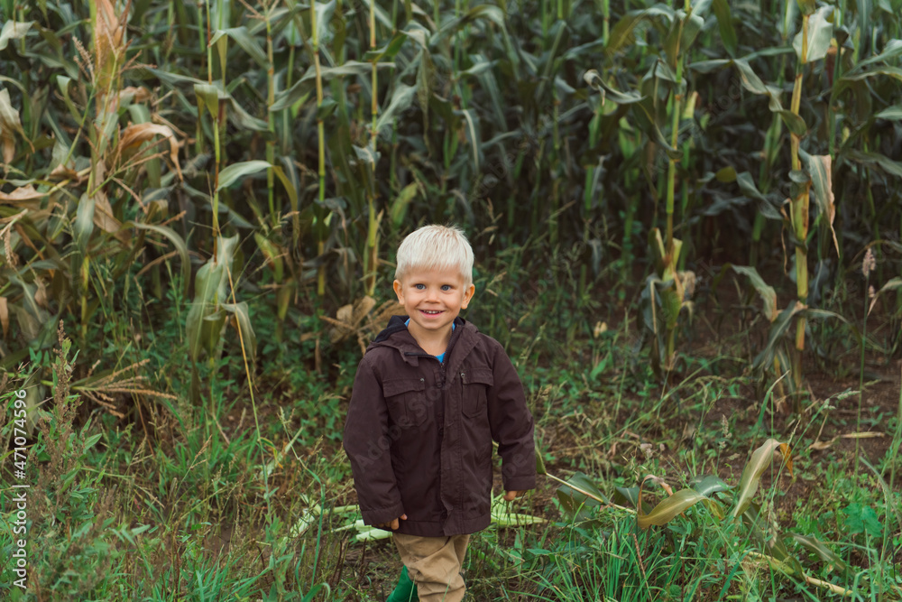 cute happy child smiley face in corn field Stock Photo | Adobe Stock