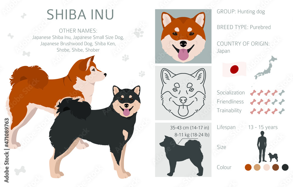 Shiba Inu, Japanese small size dog coat colors, different poses clipart ...