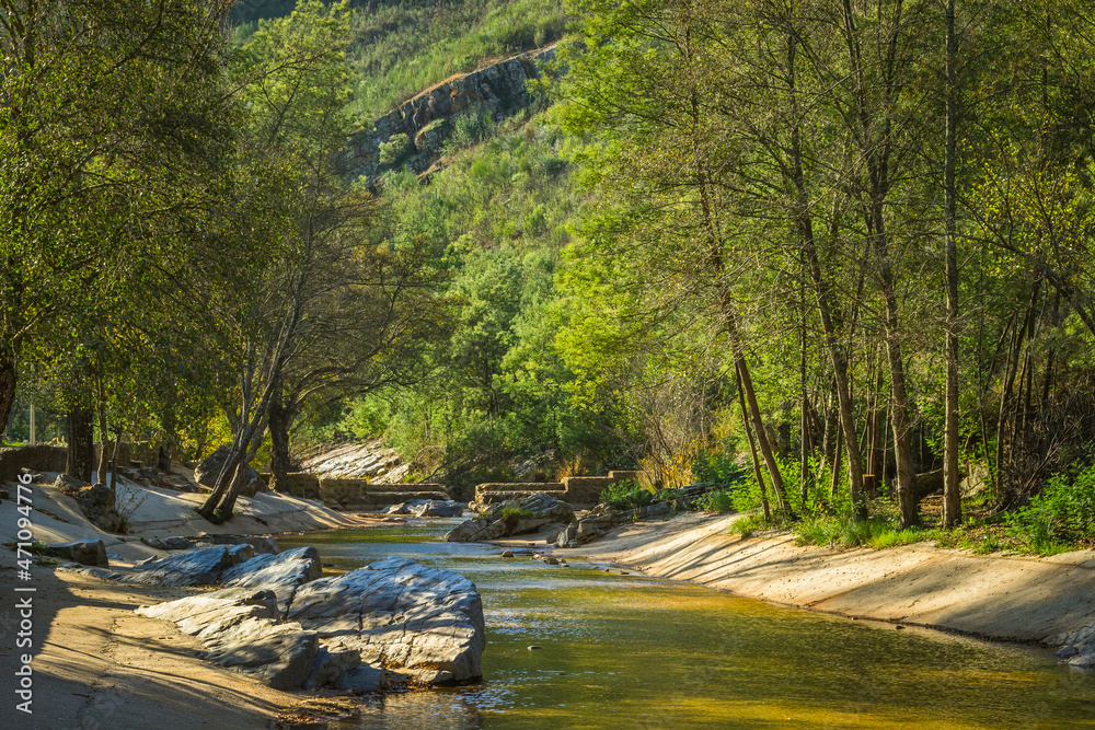 Forest background with river in the portuguese park of Penedo Furado ...