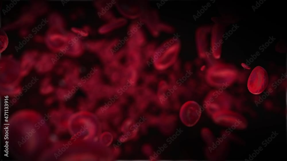 Blood cell flow, red blood cells, blood cell animation Stock Video ...