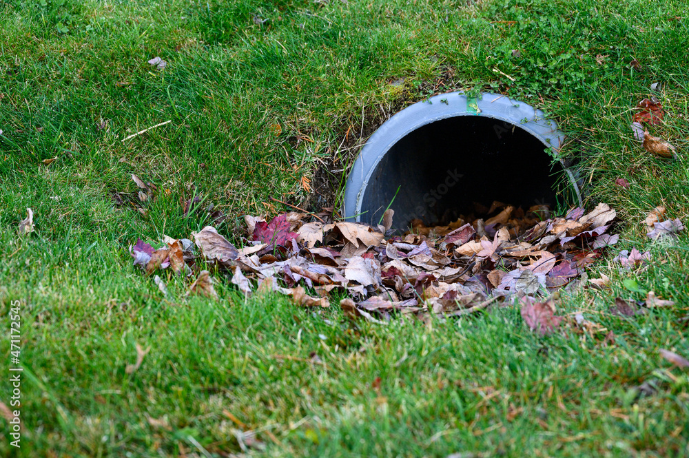 Stormwater pipe inlet in a grassy median, filled with fall leaves Stock ...