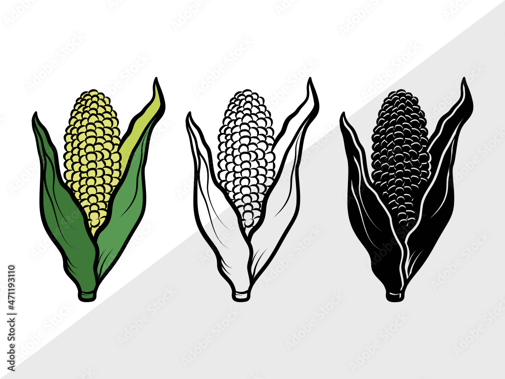 Corn SVG | Maize Svg | Cob Svg | Fruit Svg | Farm Svg | Vegetable ...