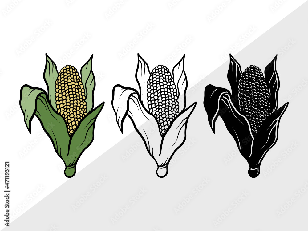 Corn SVG | Maize Svg | Cob Svg | Fruit Svg | Farm Svg | Vegetable ...