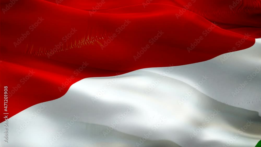 Indonesia flag. National 3d Indonesia flag waving. Sign of Indonesian ...