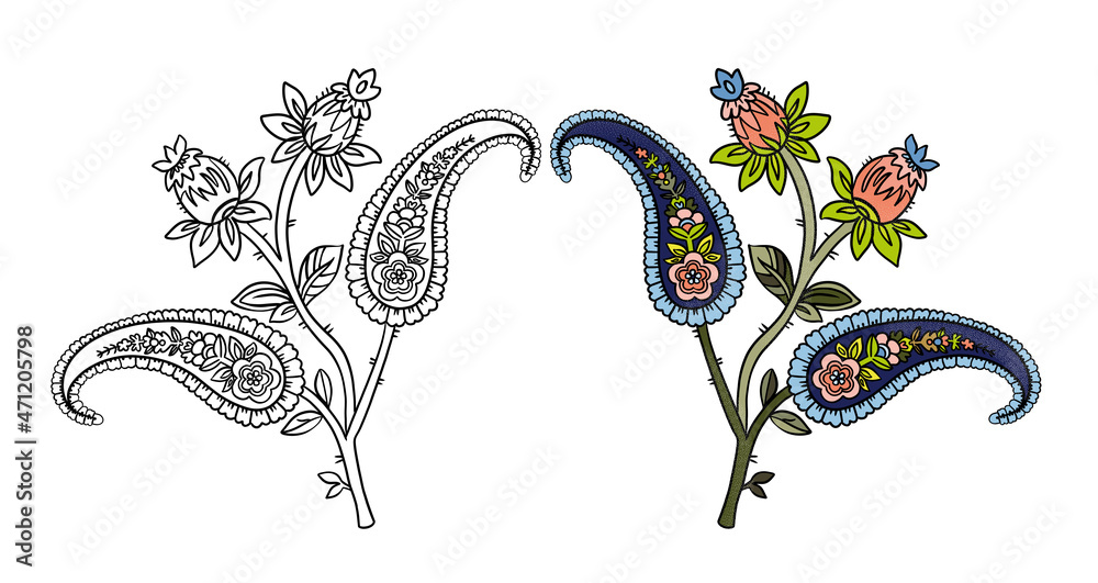 Illustration raster element paisley on in color and black and white ...