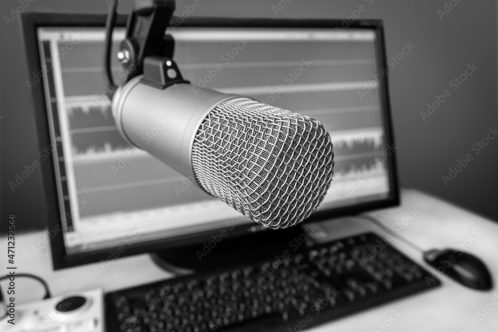 Professional microphone and wave form on the screen Stock Photo | Adobe ...