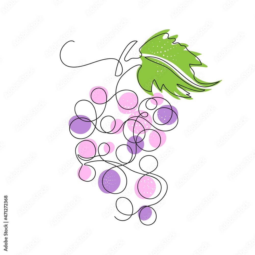 Vector image of a bunch of grapes. One line drawing. Tropical fruit ...