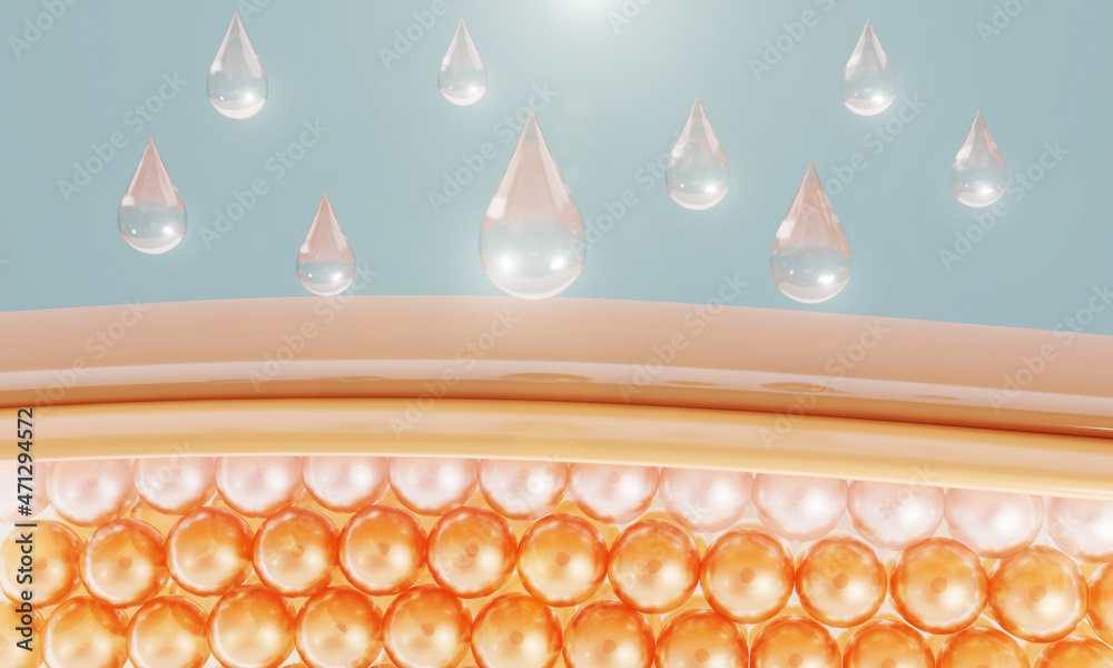 Water and vitamin drop on skin cell. serum through the skin layer and ...
