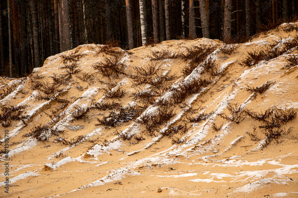 Textural sand, with relief surface, multi-colored layers and different ...