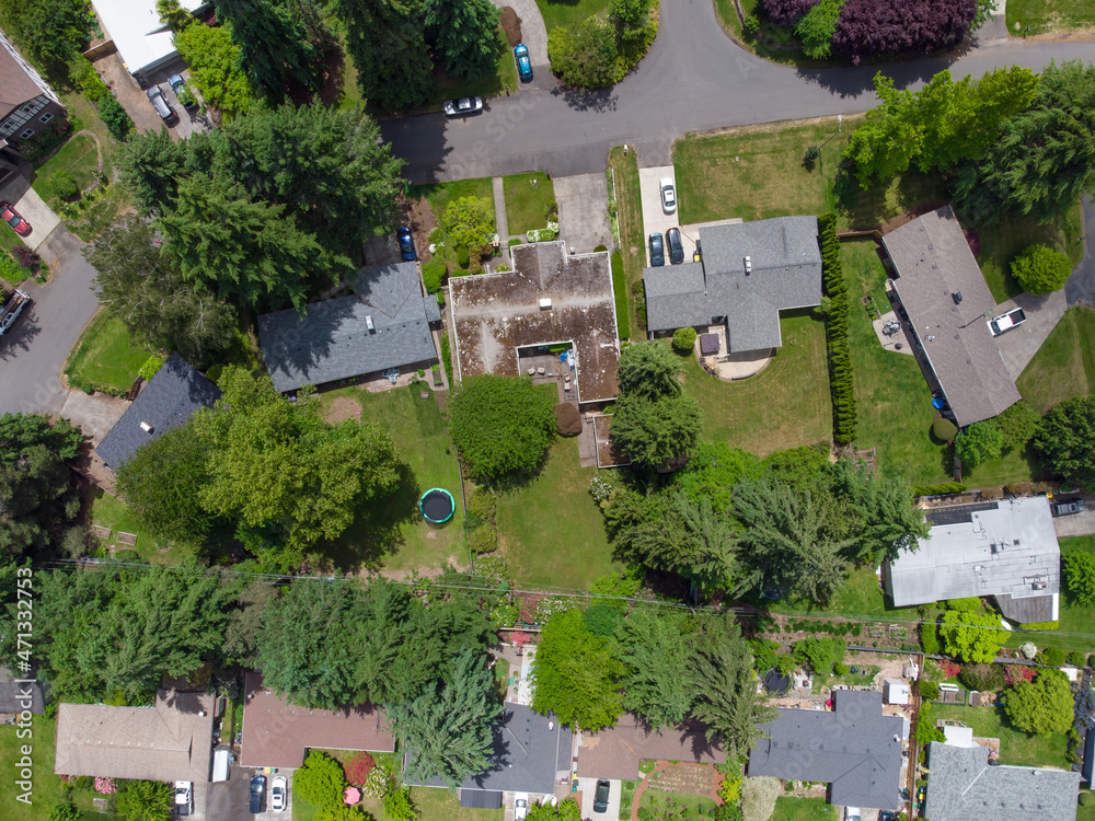 Aerial view. Small green suburb. Lots of bushes, trees, paved roads ...