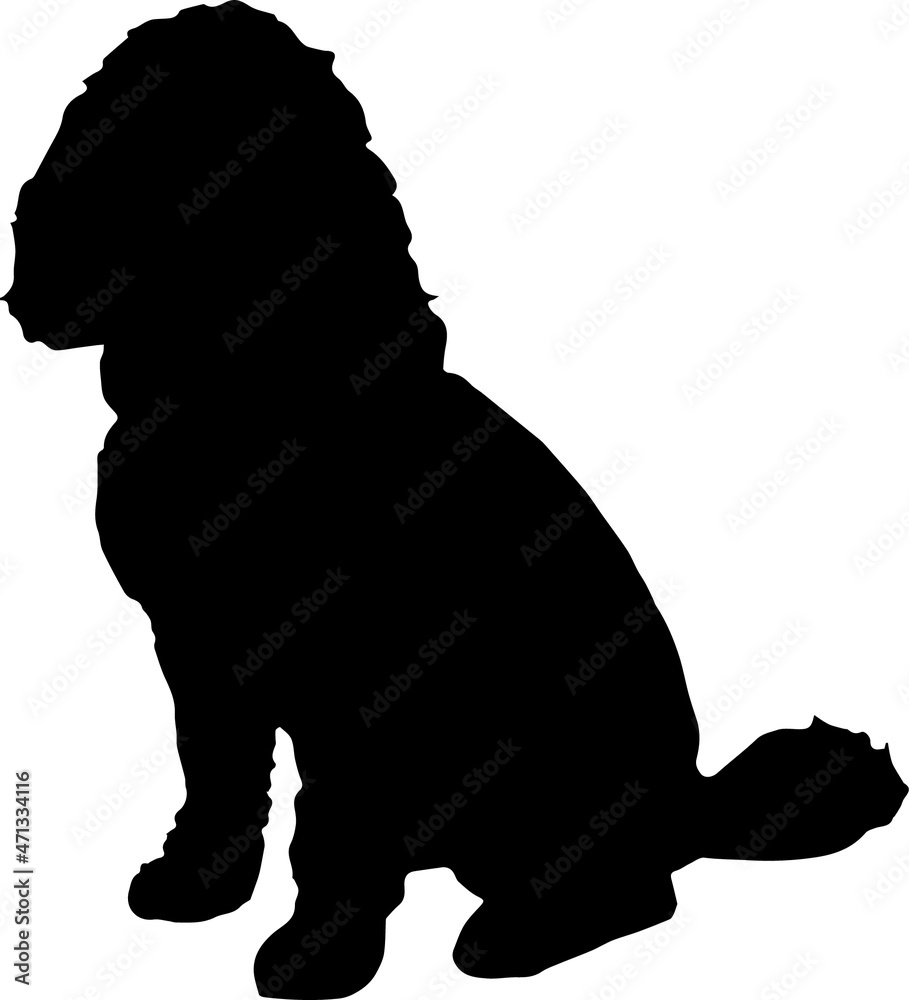 Cockapoo Silhouettes SVG Cocker Spaniel SVG Stock Vector | Adobe Stock