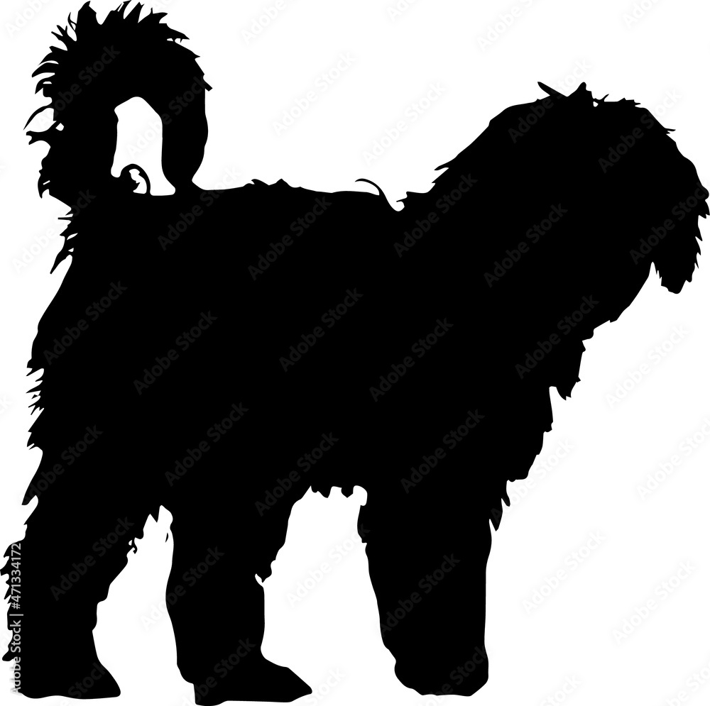 Cockapoo Silhouettes SVG Cocker Spaniel SVG Stock Vector | Adobe Stock