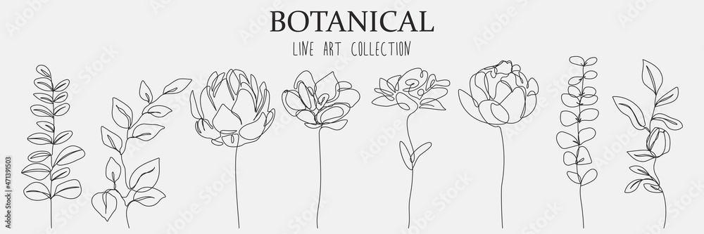 Botanical Line Art Drawing Set. Hand Drawn Continuous Line Drawing of ...