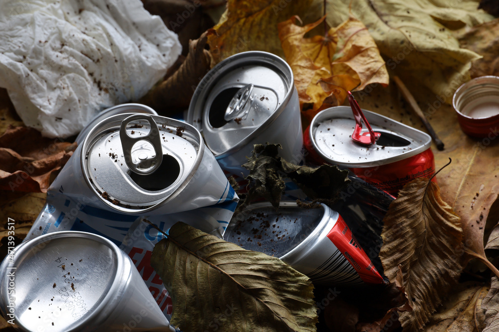 Aludosen in der Natur Stock Photo | Adobe Stock