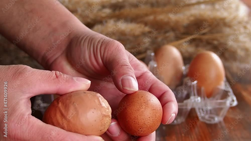 Close-up view of a deformed chicken egg. An ugly abnormal crooked egg ...