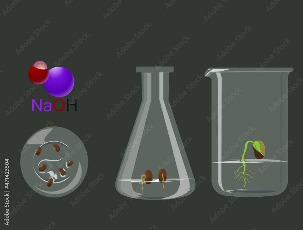 Tissue Culture Stock Vector | Adobe Stock