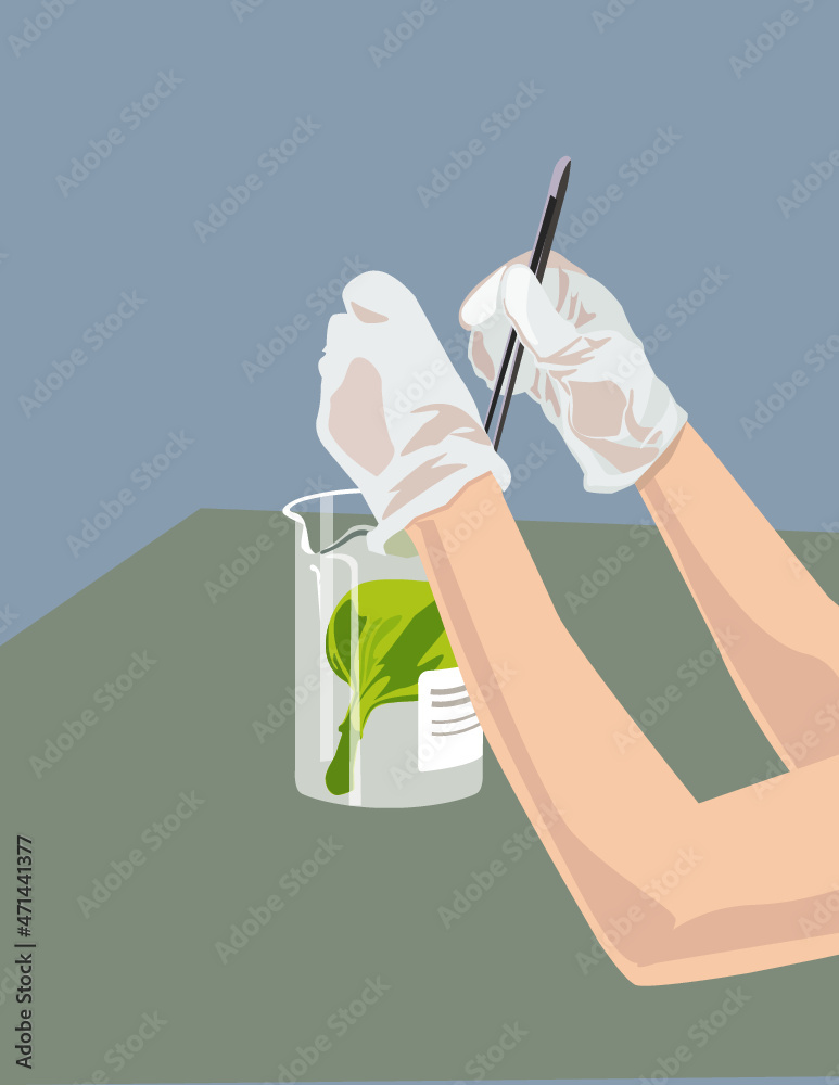 Tissue Culture Stock Vector | Adobe Stock