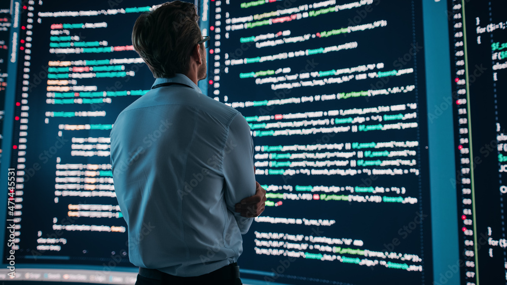 Innovative Computer Science Concept: Software Engineer Standing and ...