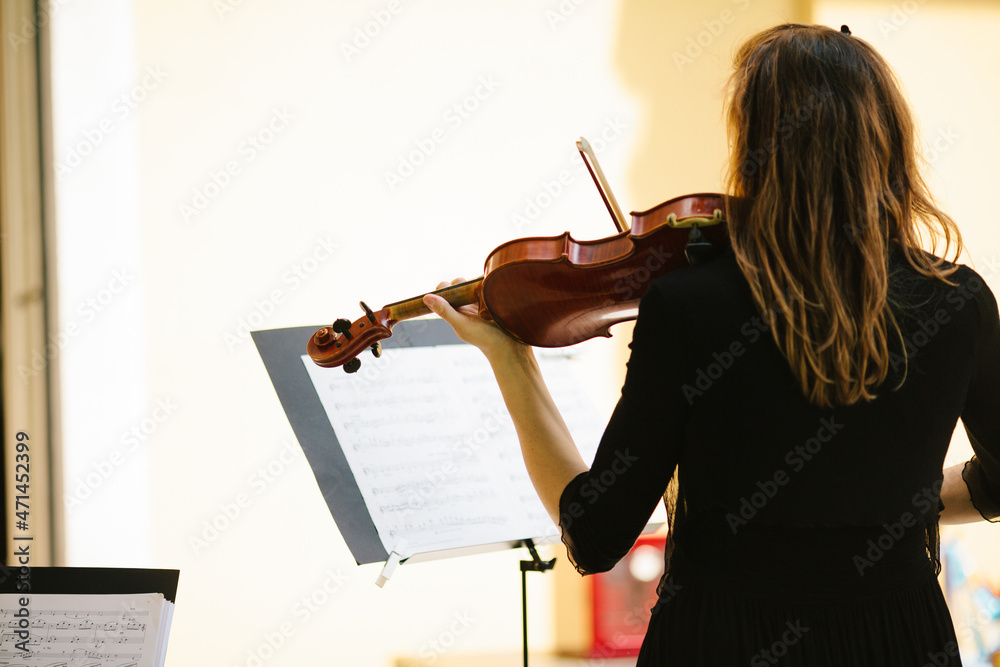 Standing Violinist